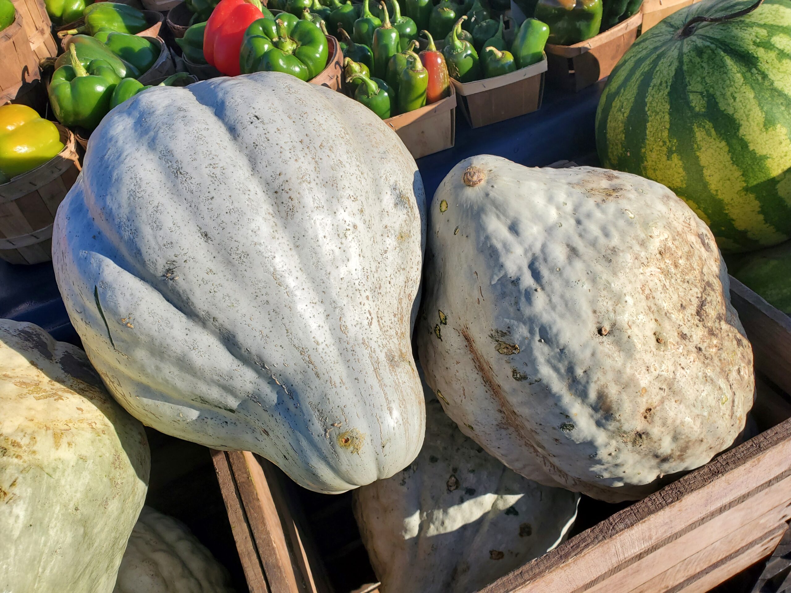 Easy Roasted Whole Hubbard Squash - The Better Home Life